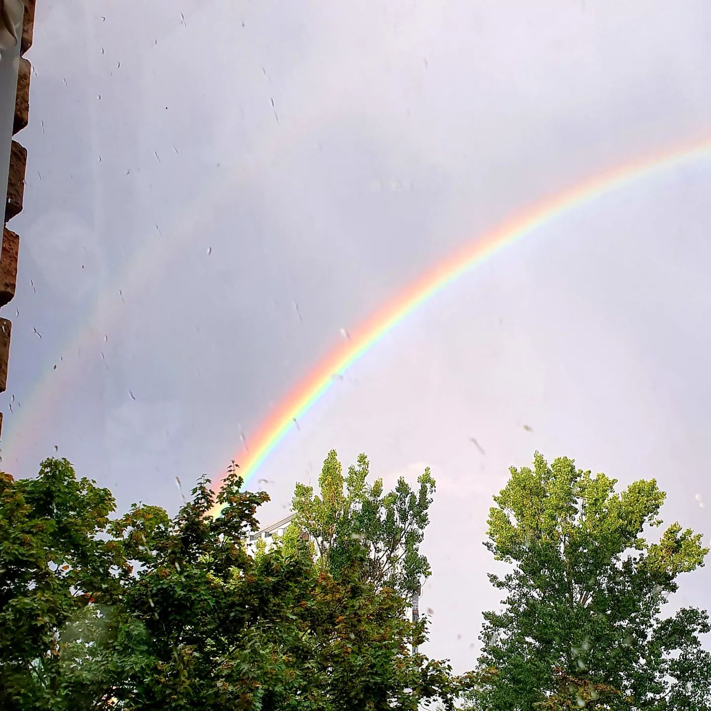 alice_sheldon | Författarkurs.se