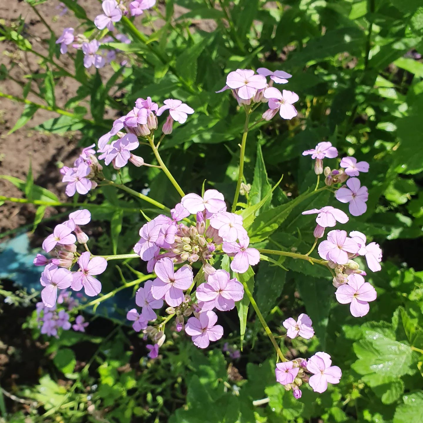 Tre fria föreläsningar för författare | Författarkurs.se